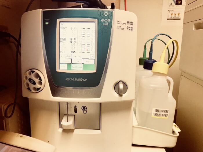設備介紹 | 敦品動物醫院｜台北市大安區獸醫院